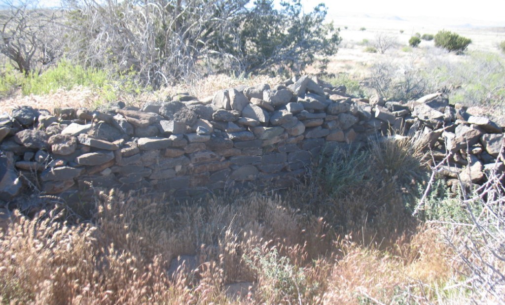 Perry Mesa: A Trip Report | The Free Range Naturist