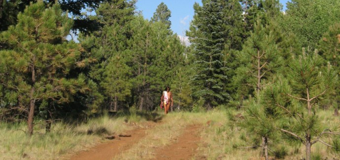 White Mountain Retreat: Pt10: Carnero Lake | The Free Range Naturist